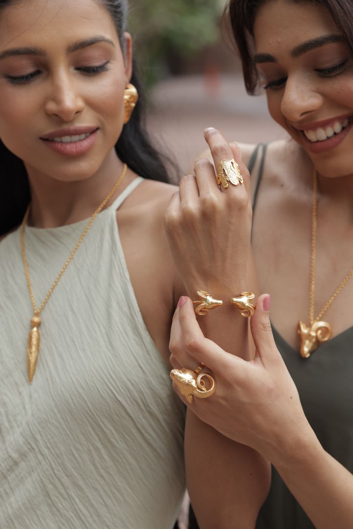 Celestial Adornments: Unveiling Radiance in Every Detail – Saka